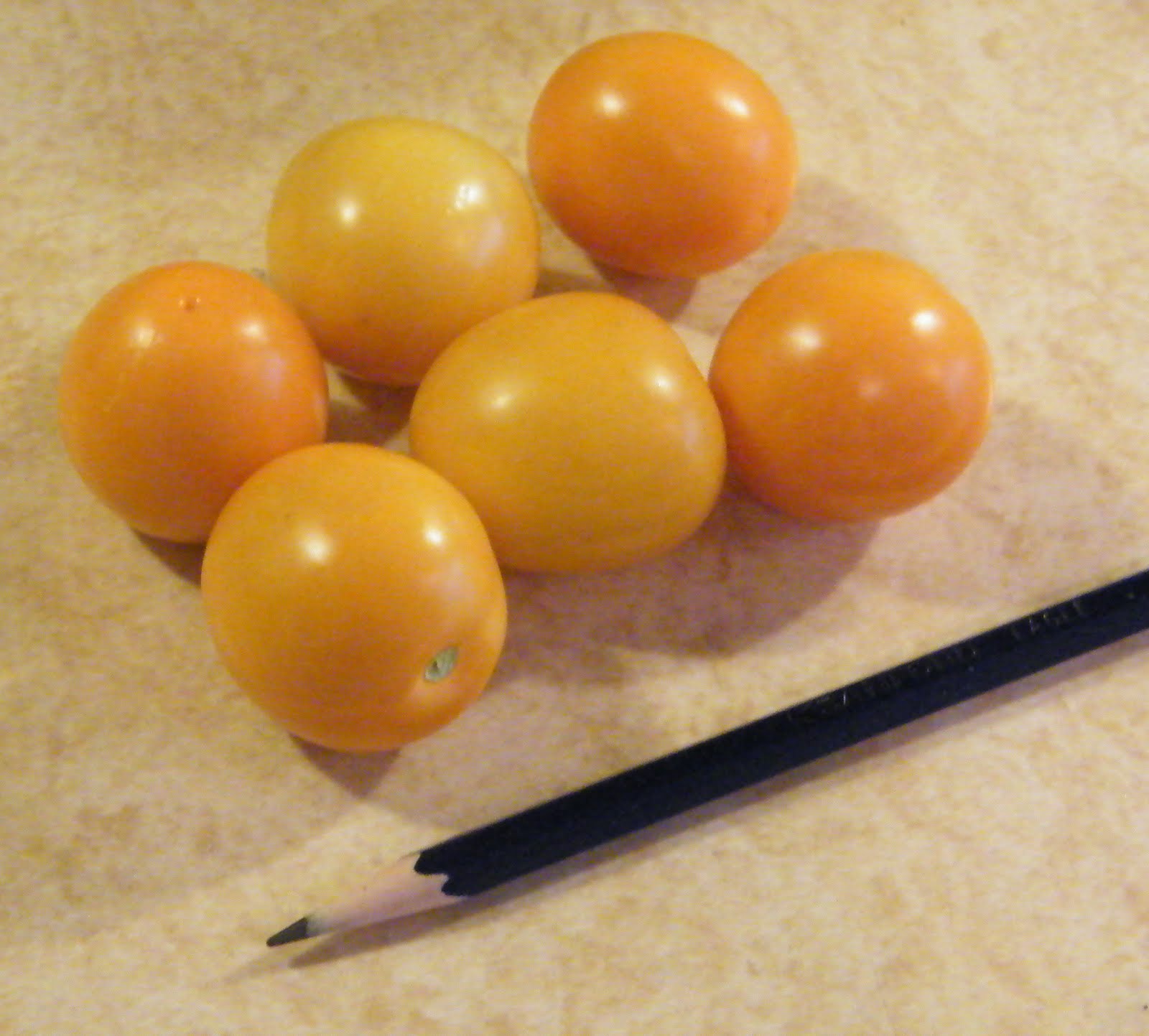 Home of a Feral Biologist: 2011 Tomato Reviews