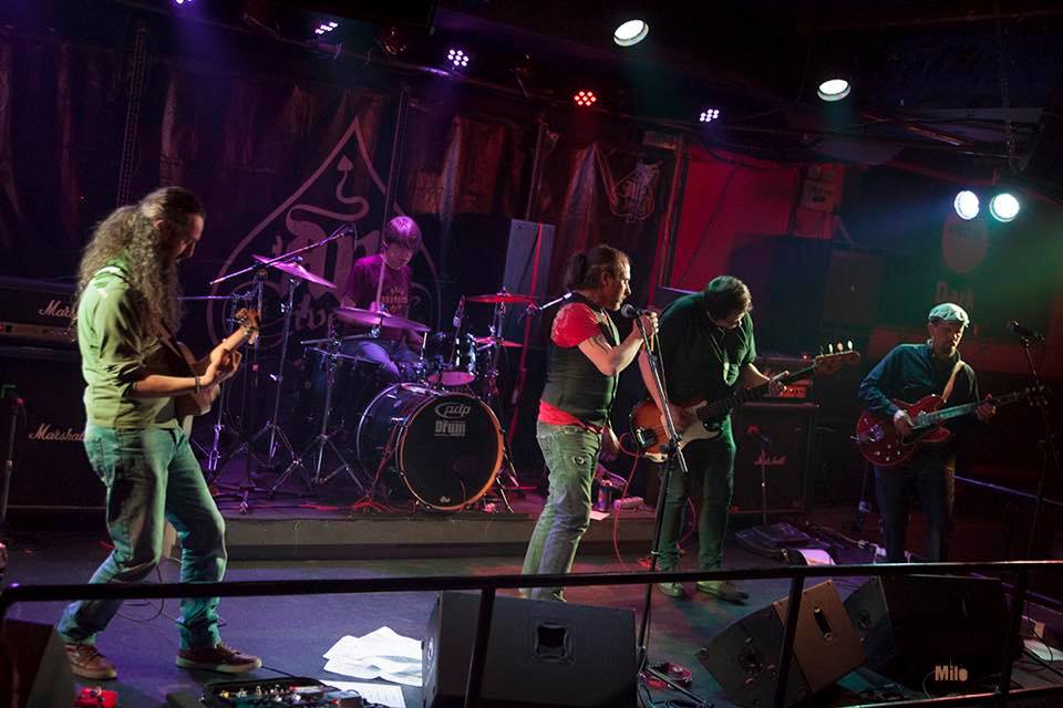 WEBZINE PUNK & ROCK: 2020