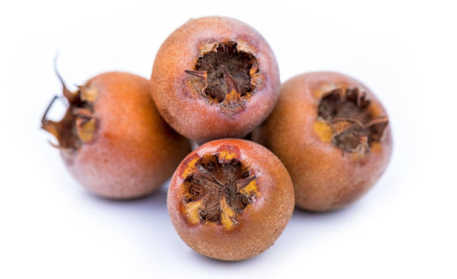 Os Benefícios da Nêspera para Saúde - Dicas de Saude