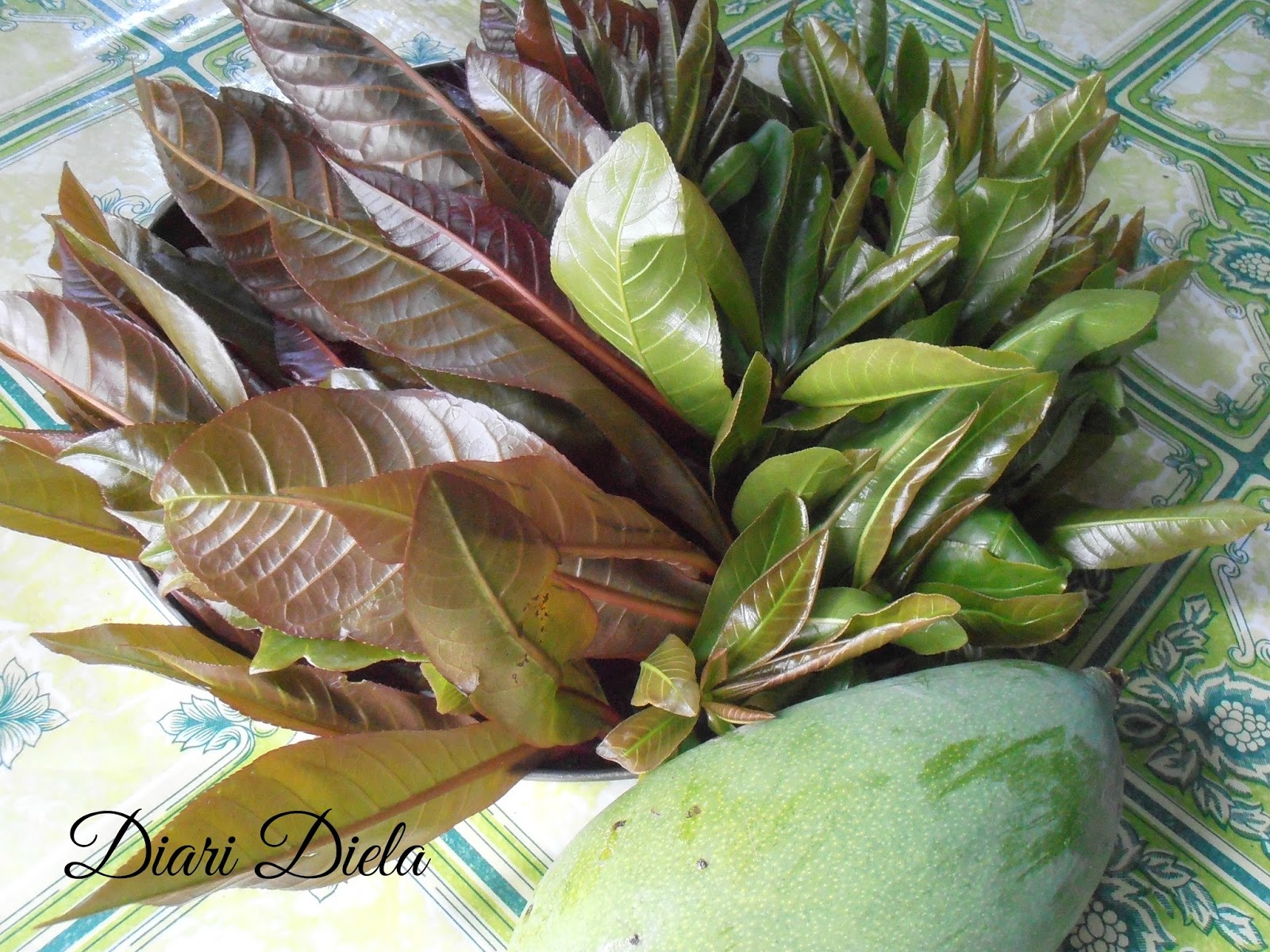 DIARI DIELA: Kerabu Pucuk Putat