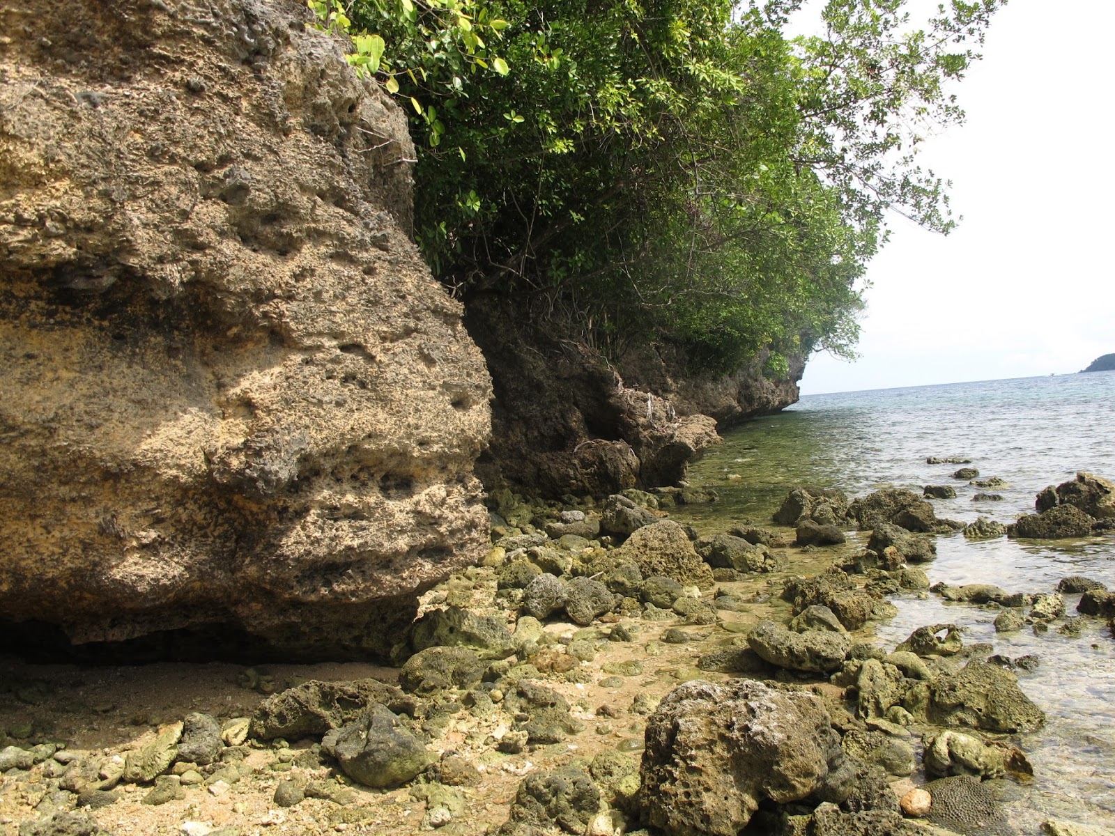 Sipalay City: 12 Views from the boat in Campomanes Bay going to Ubong ...