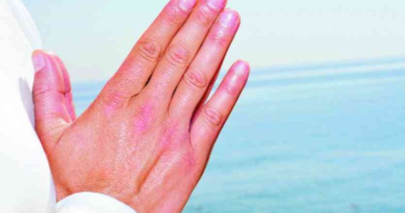 Hamlet in Monsoon : SIX TYPES OF PRANAMAM