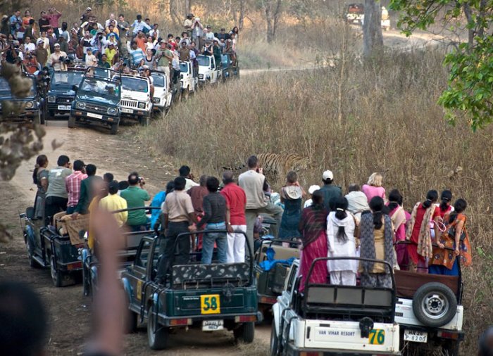 Hasiru Hejje: Irresponsible Tourism leaves negative impact on Wildlife