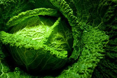 ASTRORETH Un lugar para el Crecimiento Personal y la Salud: REPOLLO ...