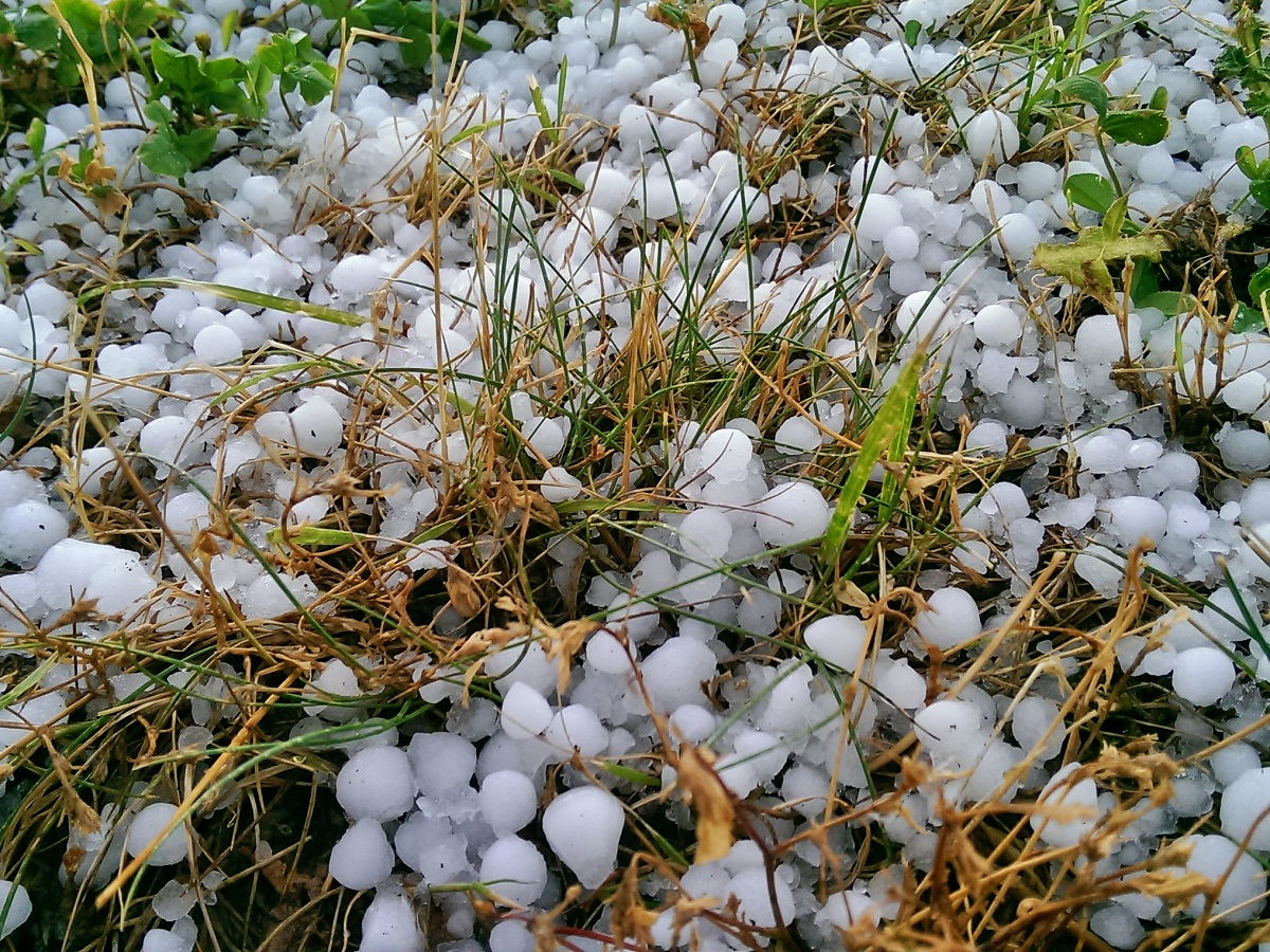 nervenruh...: Hagel