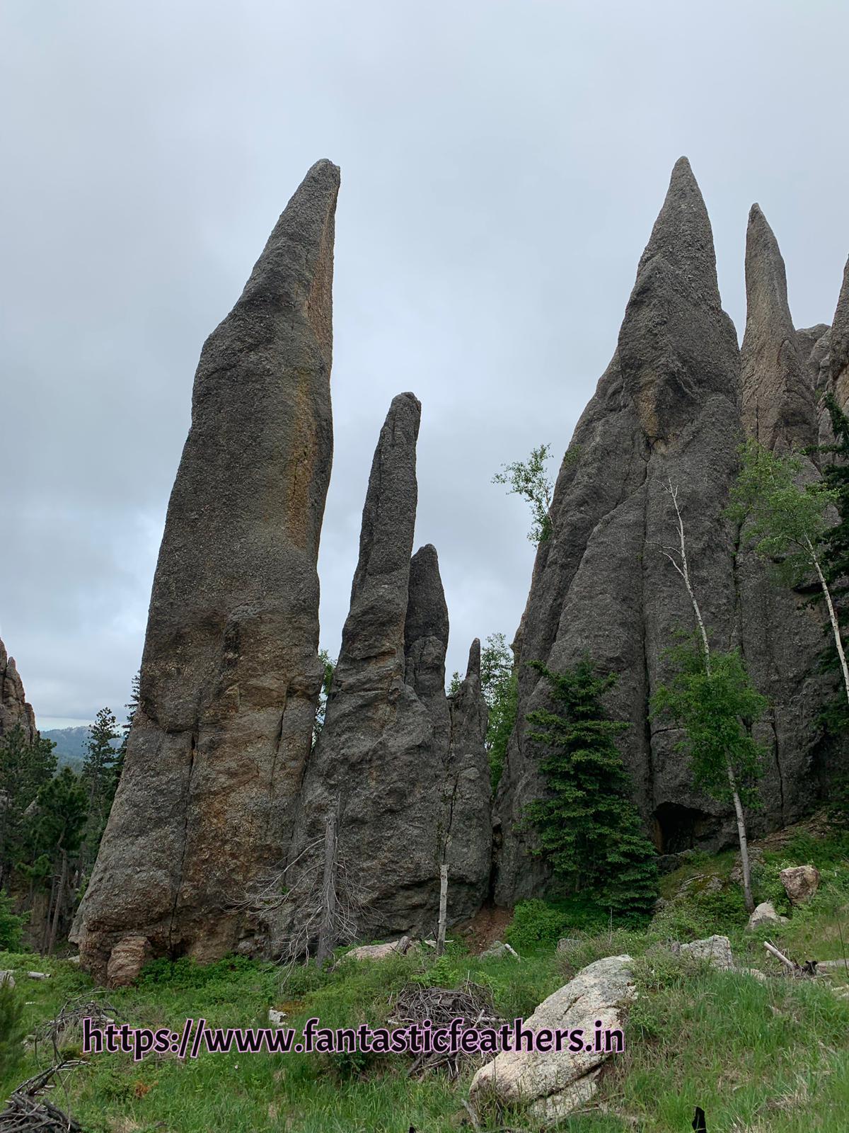 Fantastic Feathers: Best Places to Visit in Rapid City #SouthDakotatrip