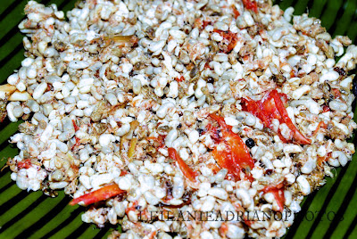 The Apricity Forum: A European Cultural Community