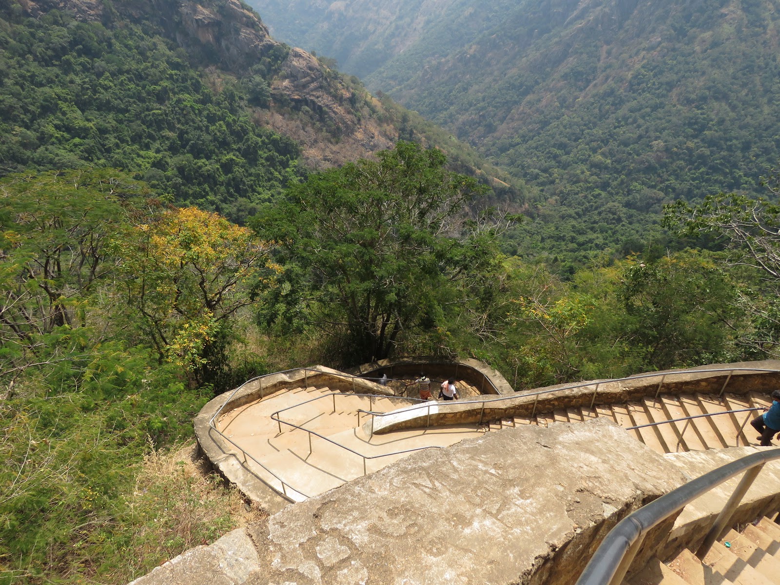 Karthik's Wander: Kollimalai (Kolli Hills)
