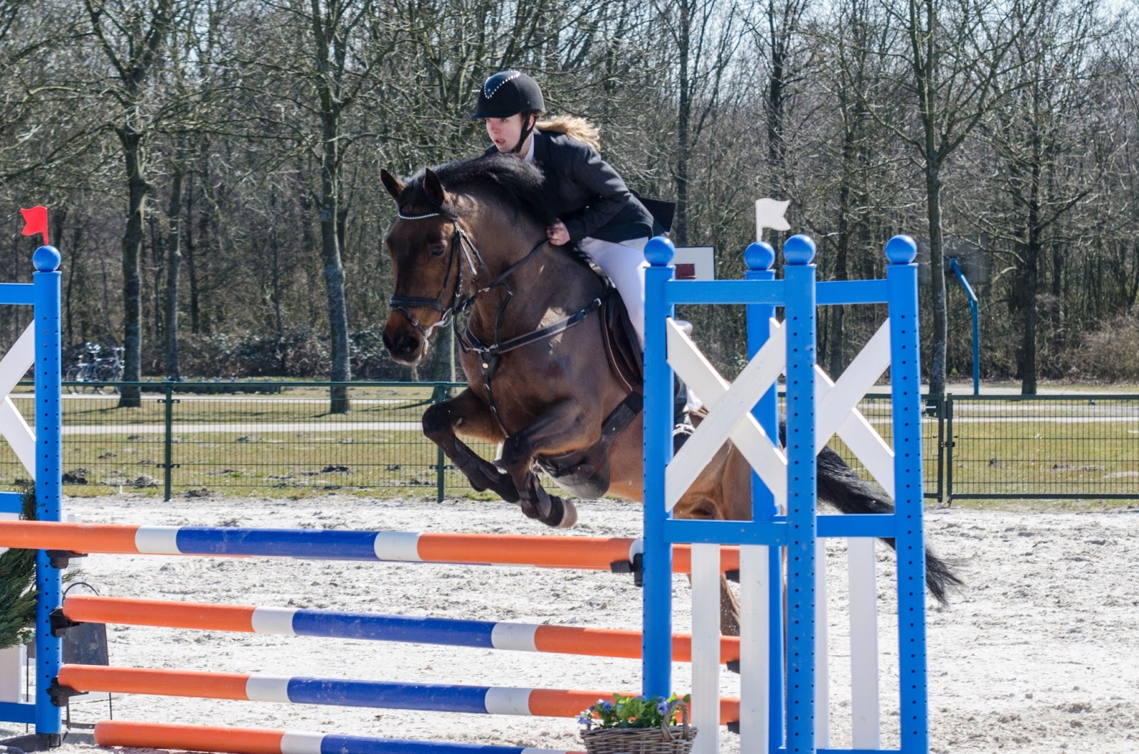 corbakphotography: Paardensport springen