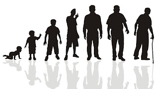 What's the Diehl?: Growing Old's Not for Sissies II