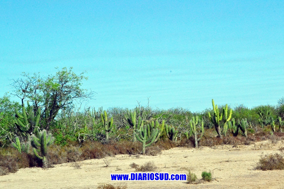 Hoy te invitamos a conocer Vaca Human, en el interior del Dpto. Salavina