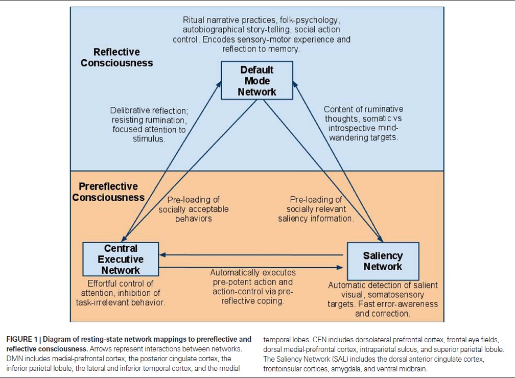 Integral Options Cafe: Consciousness, Plasticity, and Connectomics: The ...