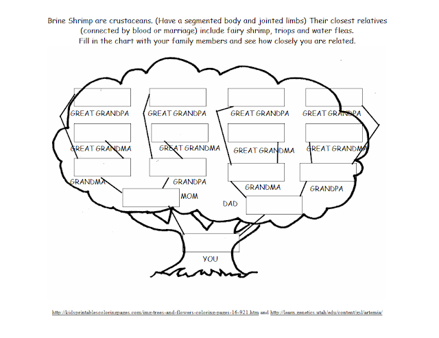 Fun in Great Salt Lake's Sun : Family Tree Activity