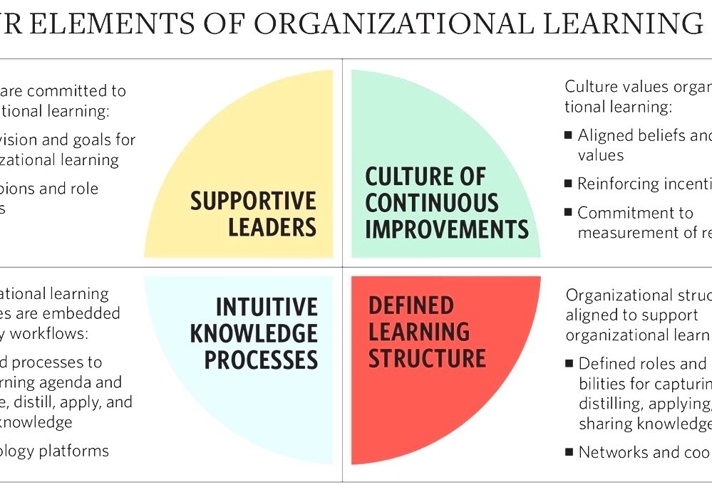 Learning Organization - Learning Organisation