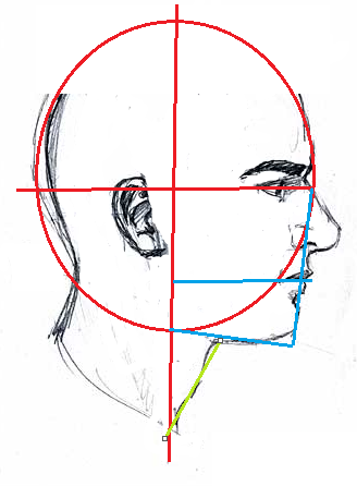 Můj svět kresleni: KRESBA OBLIČEJE
