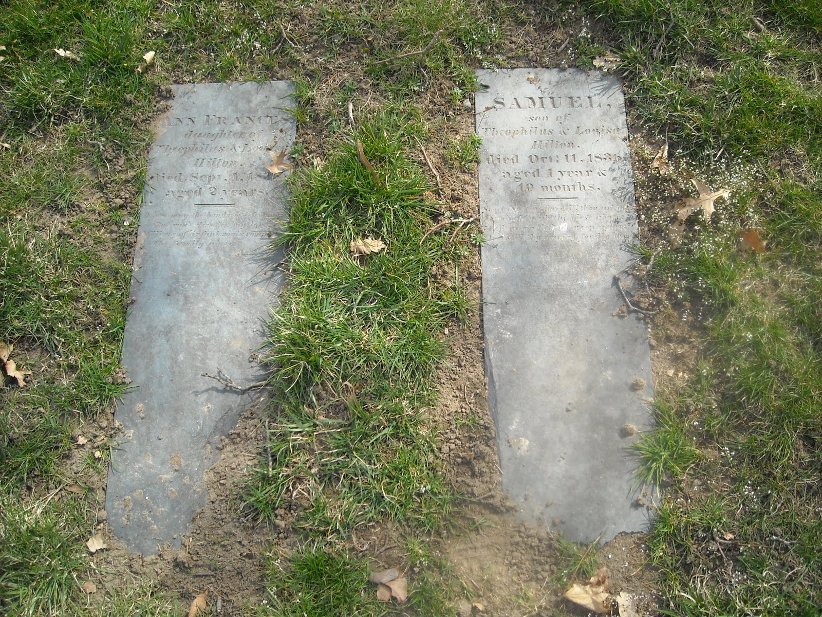 The Life of Death: Swan Point Cemetery