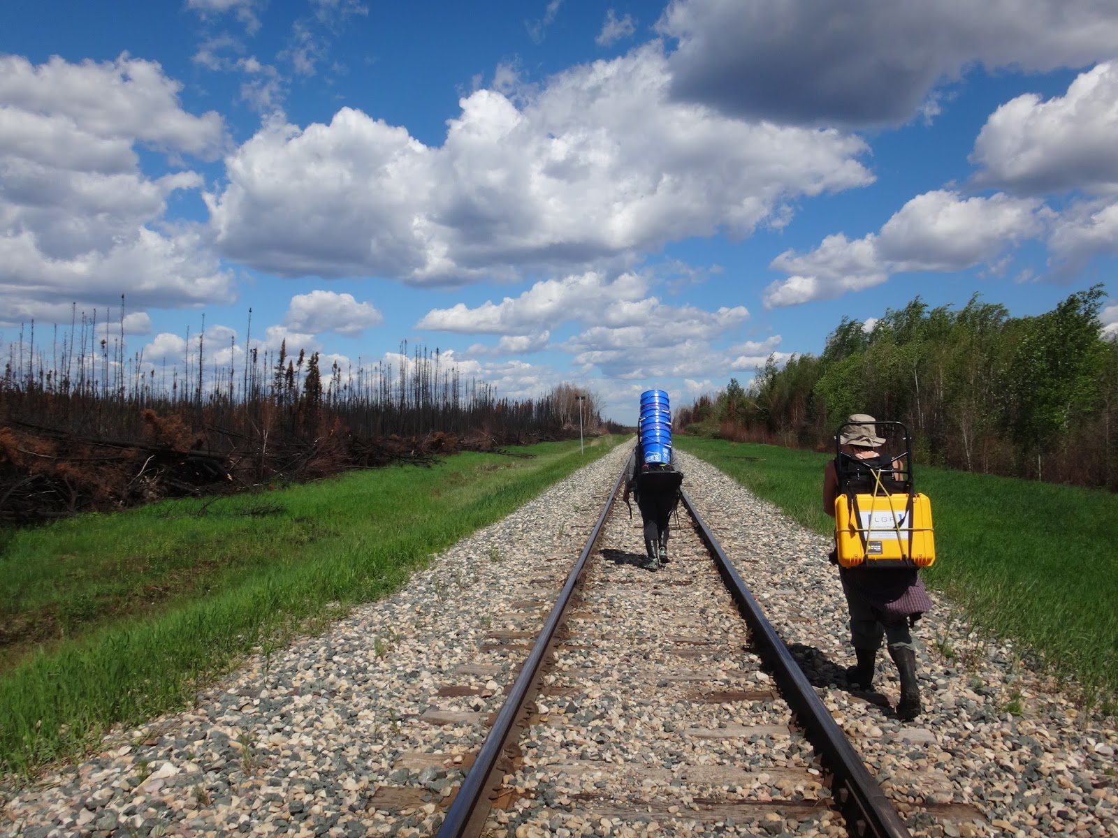 The 55th Parallel: Aftermath of the Fort McMurray Fire: WBEA Monitoring ...