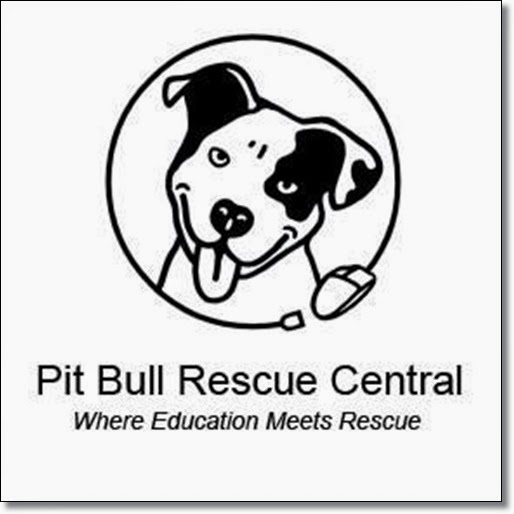 The Pet Tree House - Where Pets Are Family Too : Five Amazing Pit Bull ...