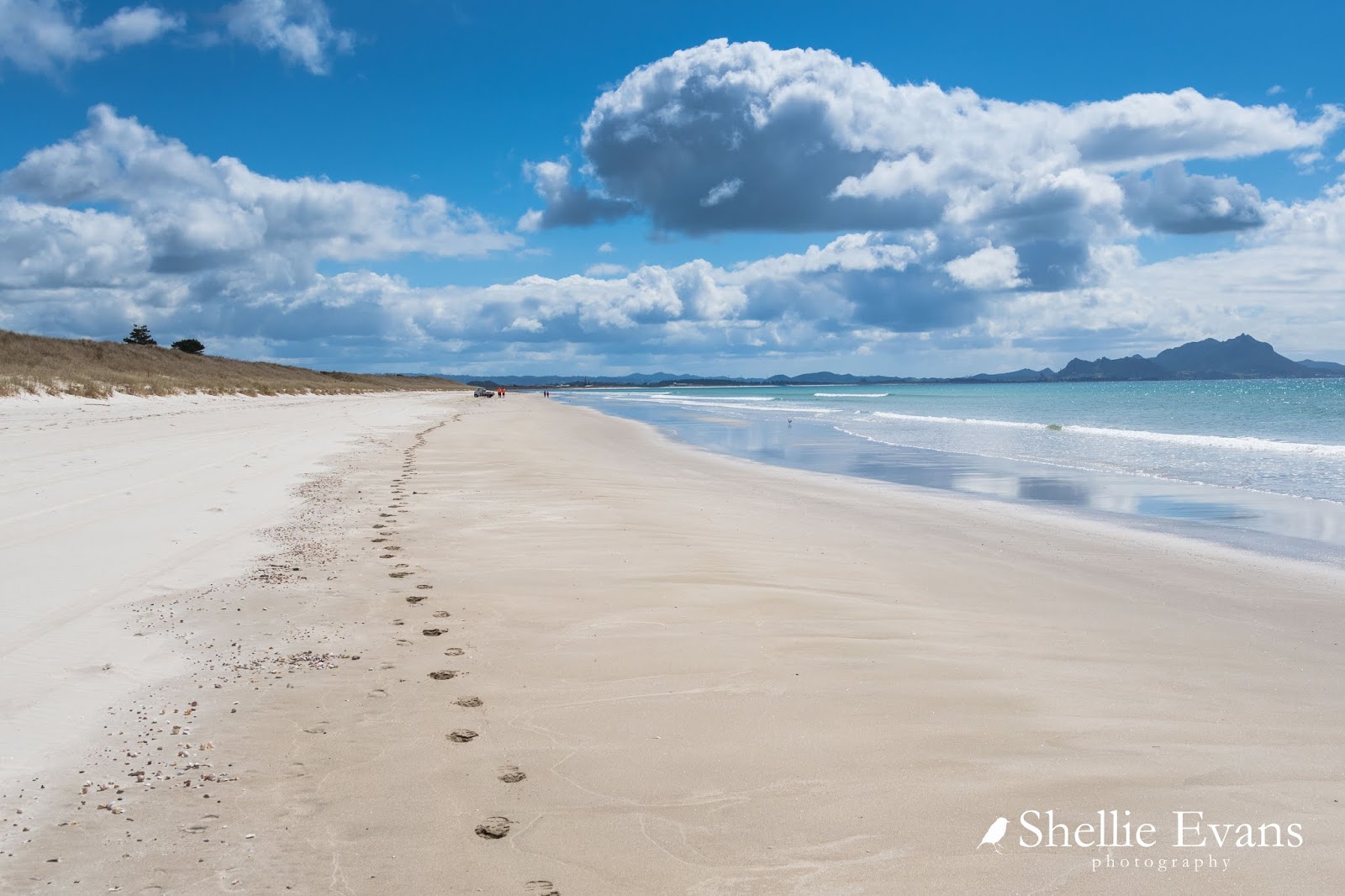 Two Go Tiki Touring: Stunning Beach & Uretiti DOC Camp