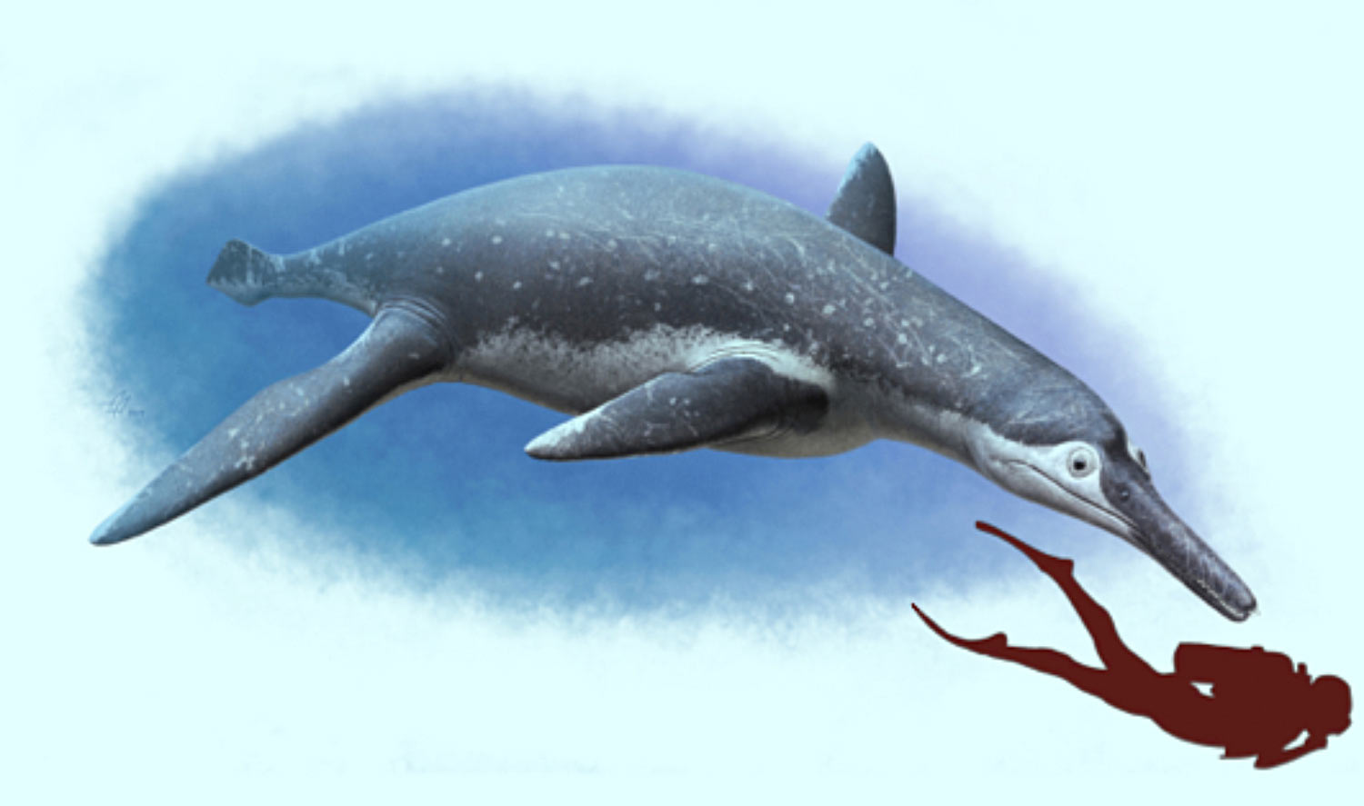 My Prehistoric Saga: Size Calculations for Pliosaurs: