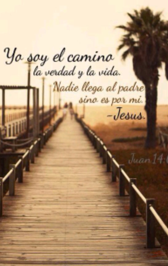 Señor, Tú eres el camino, la verdad y la vida