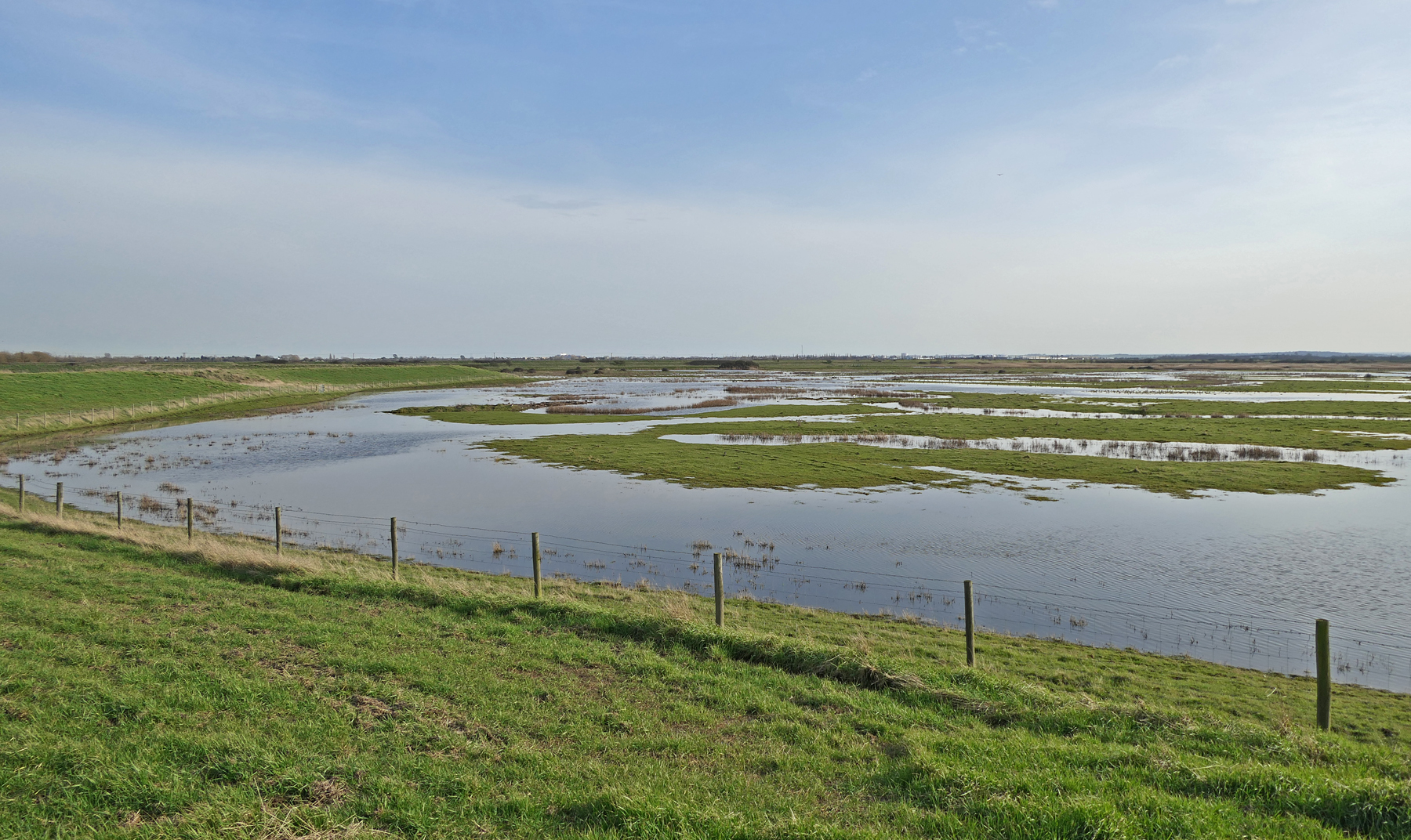 Bowers Marsh walk, February 2021 No. 8