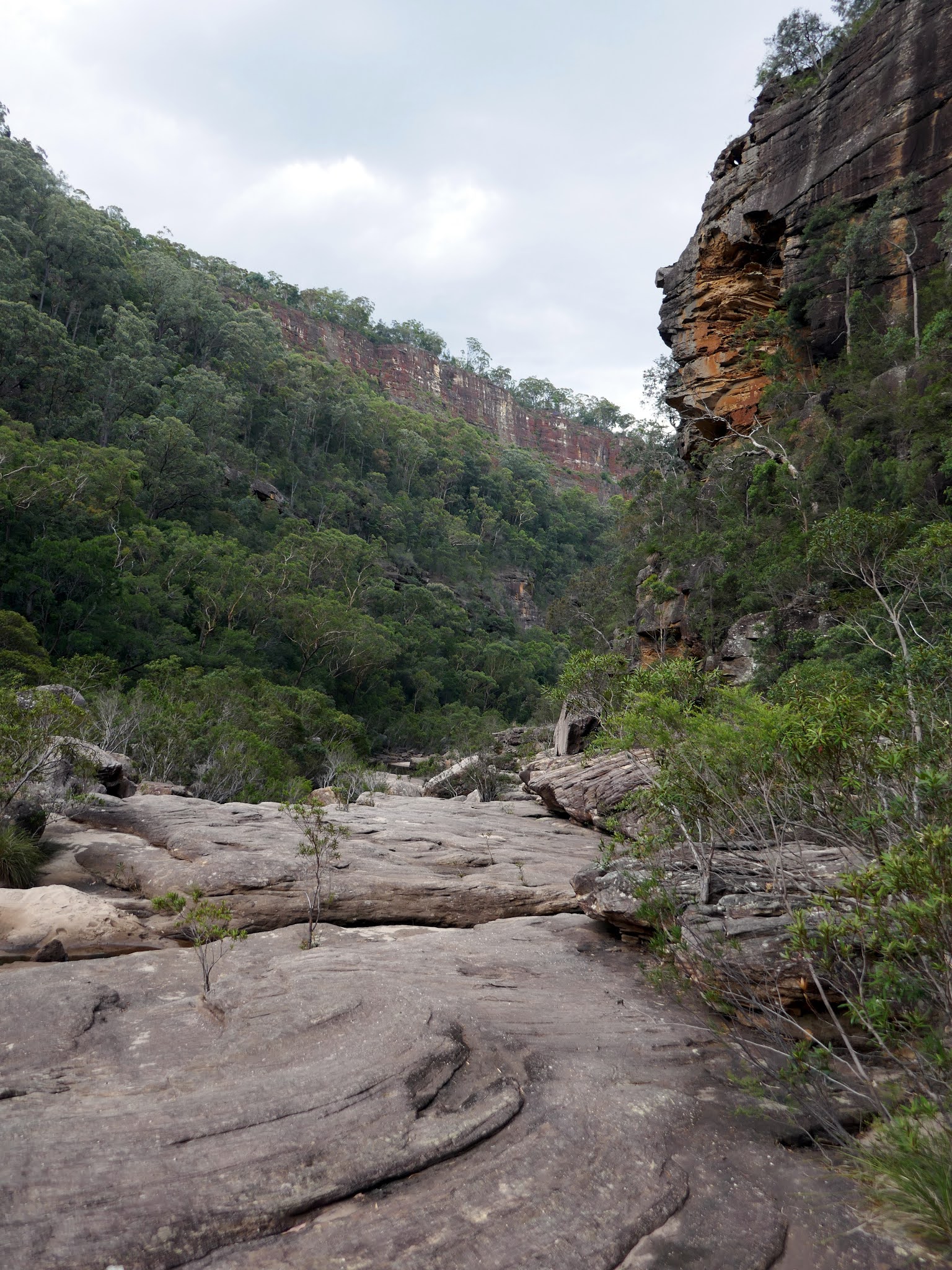 TR - Mount Portal, Red Hands Cave & Glenbrook Gorge