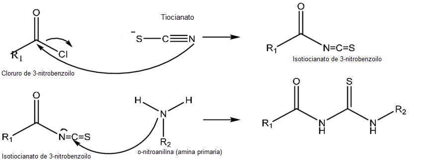 Bruno Ramirez Hilares