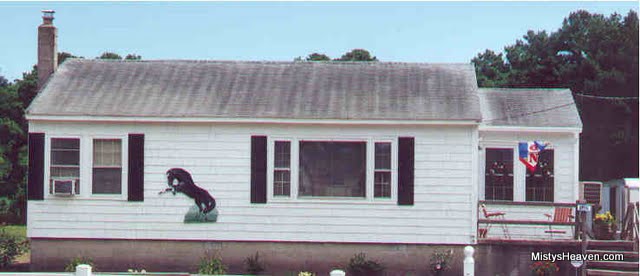 Heroes, Heroines, and History: The Life of a Beebe