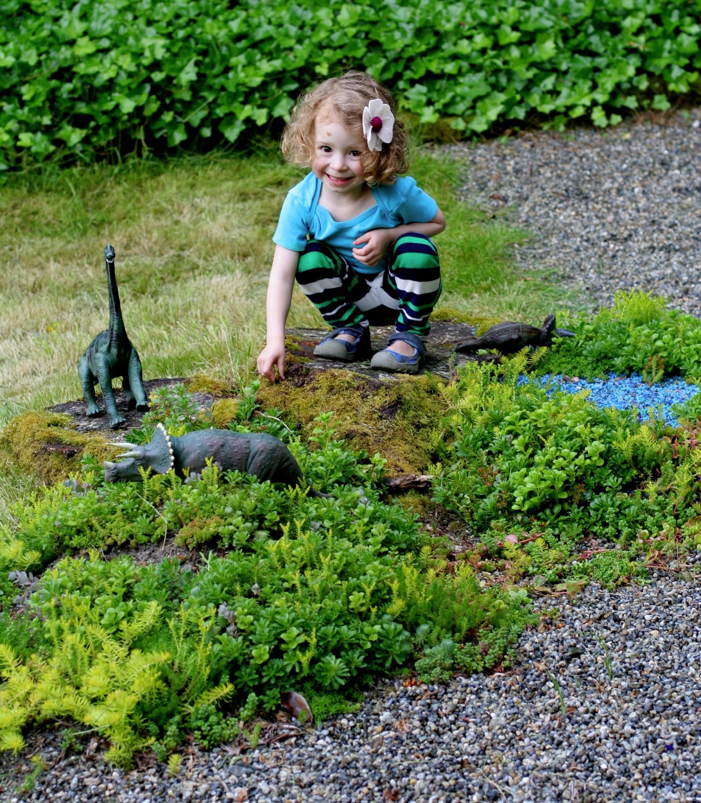 Not a Fairy Garden - a Dinosaur Garden!