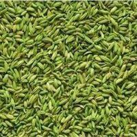 Variyali / Sounf / Fennel Seeds (Lakhnavi), 100gm | ShopEco