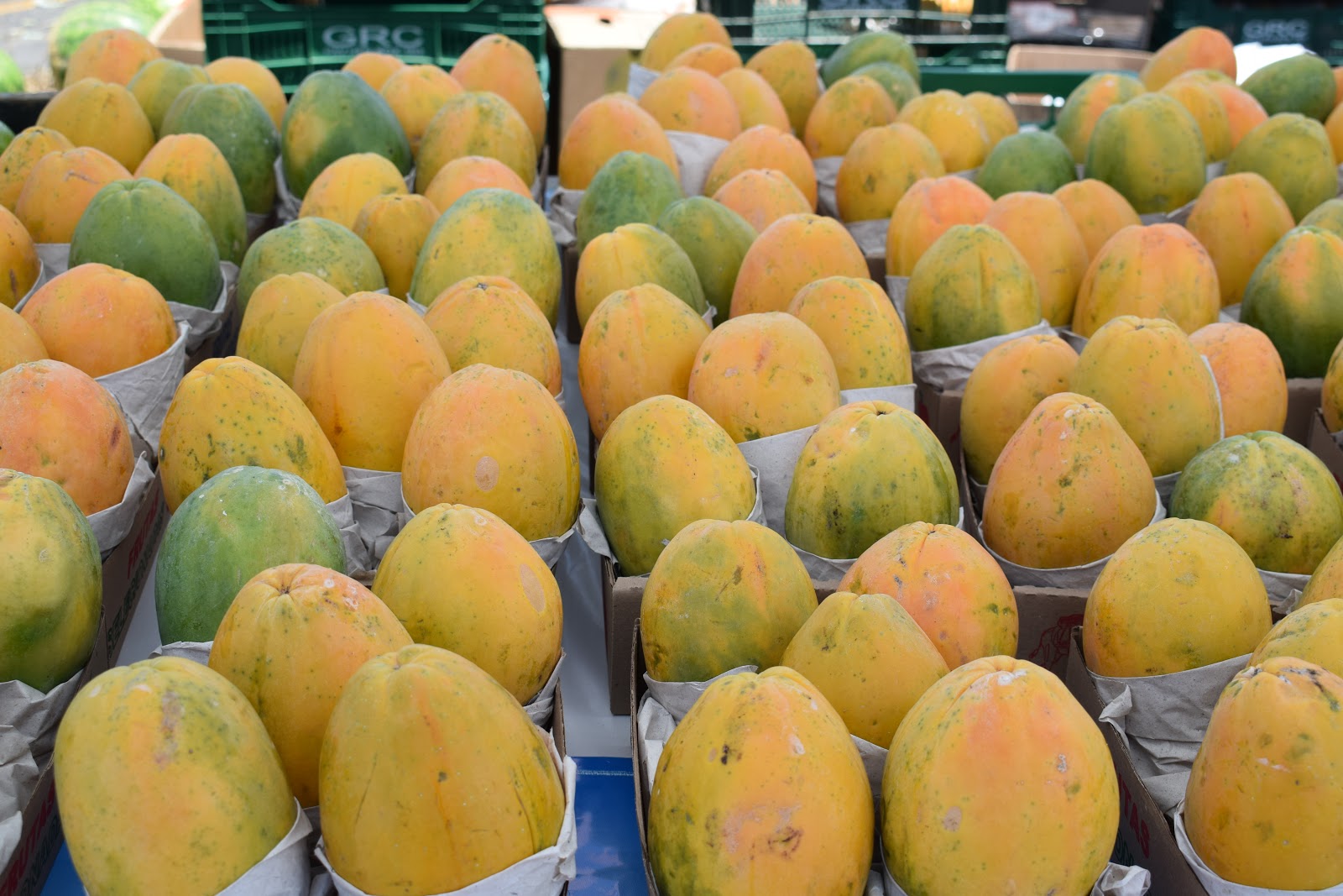 Adoçando a vida as frutas sazonais de novembro 🍎