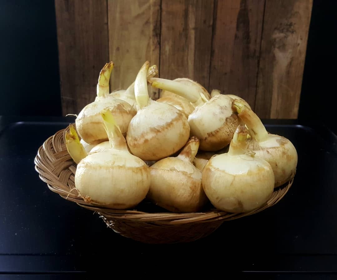 CRISPY ARROWHEAD CHIPS