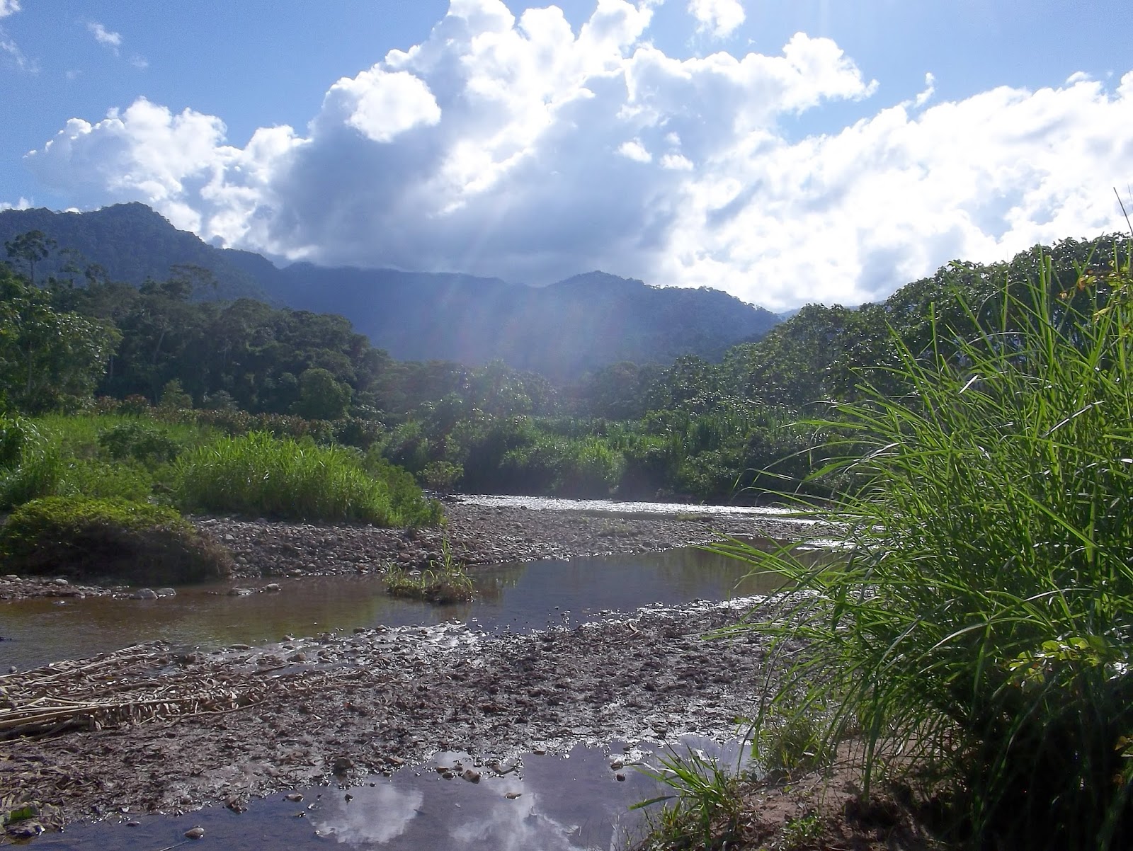LA PROVINCIA DE HUALLAGA.: junio 2021