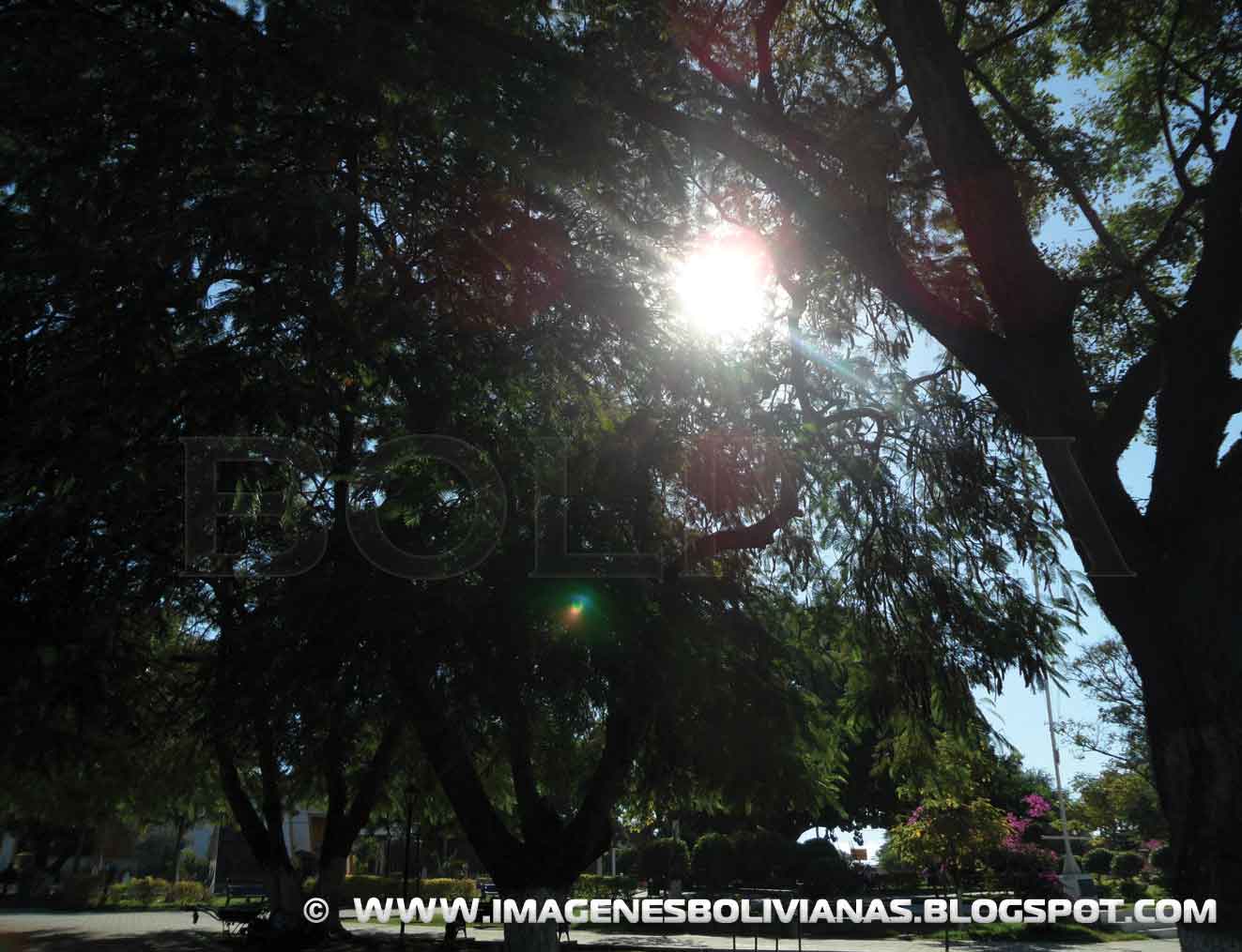 Imagénes de Puerto Quijarro Bolivia ~ IMAGENES BOLIVIANAS