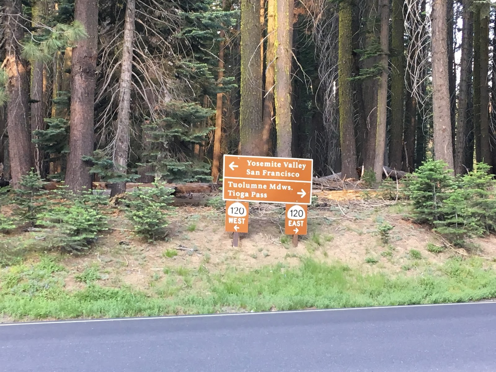 California's Rogue Sign State Route Shields