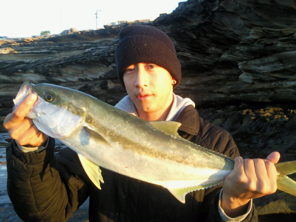 Kingfish at Maroubra - Tsuriya