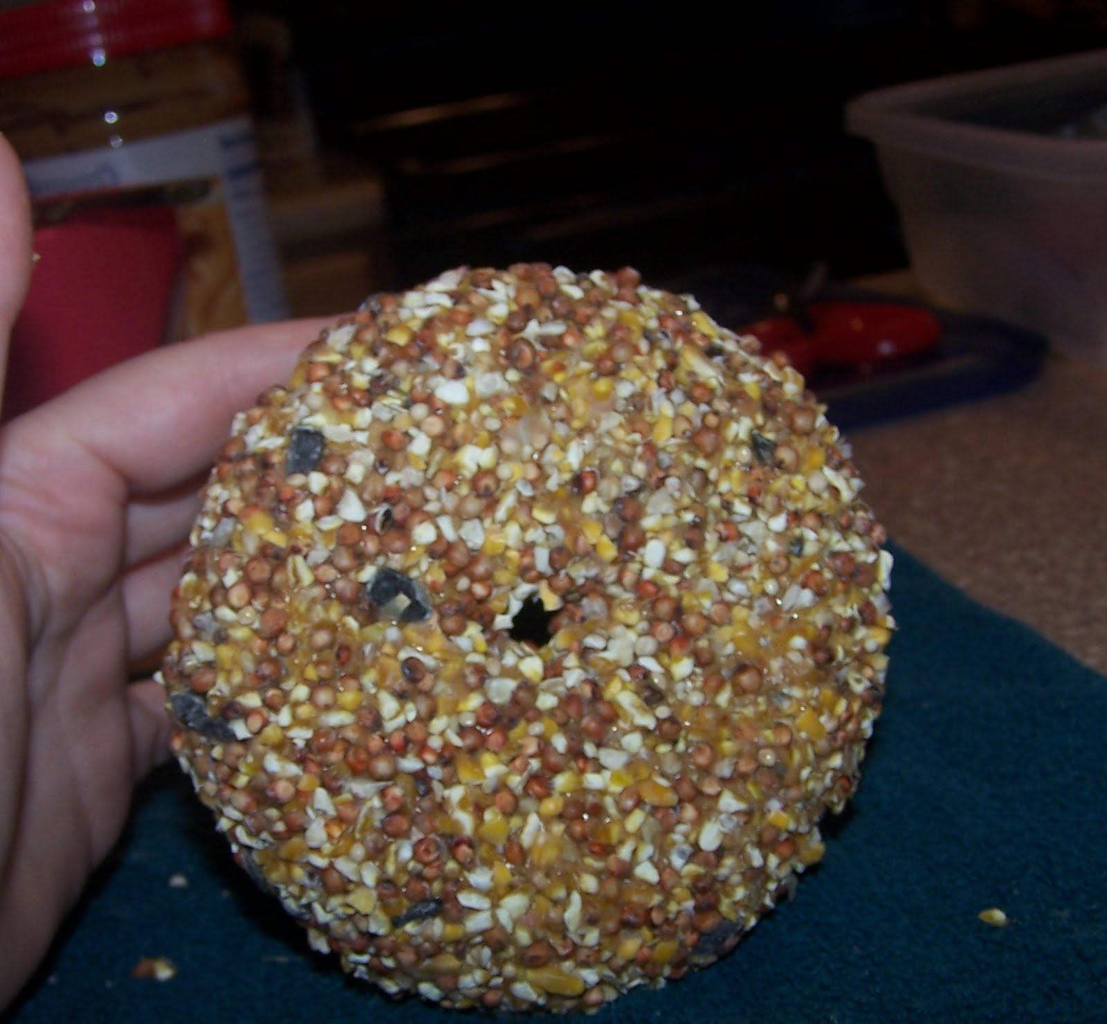 Spinnati Randomness: Bagel Bird Feeder