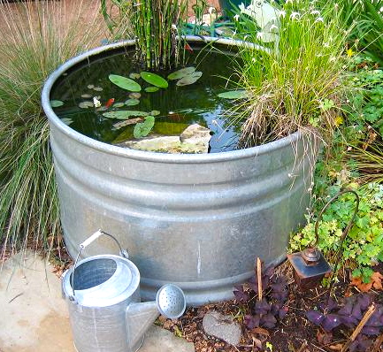 Two Men and a Little Farm: INSPIRATION THURSDAY, WATER TROUGH POND