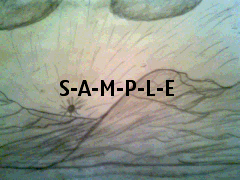 MASCAS ART GALLERY: ARTIST: Michael Bessinger