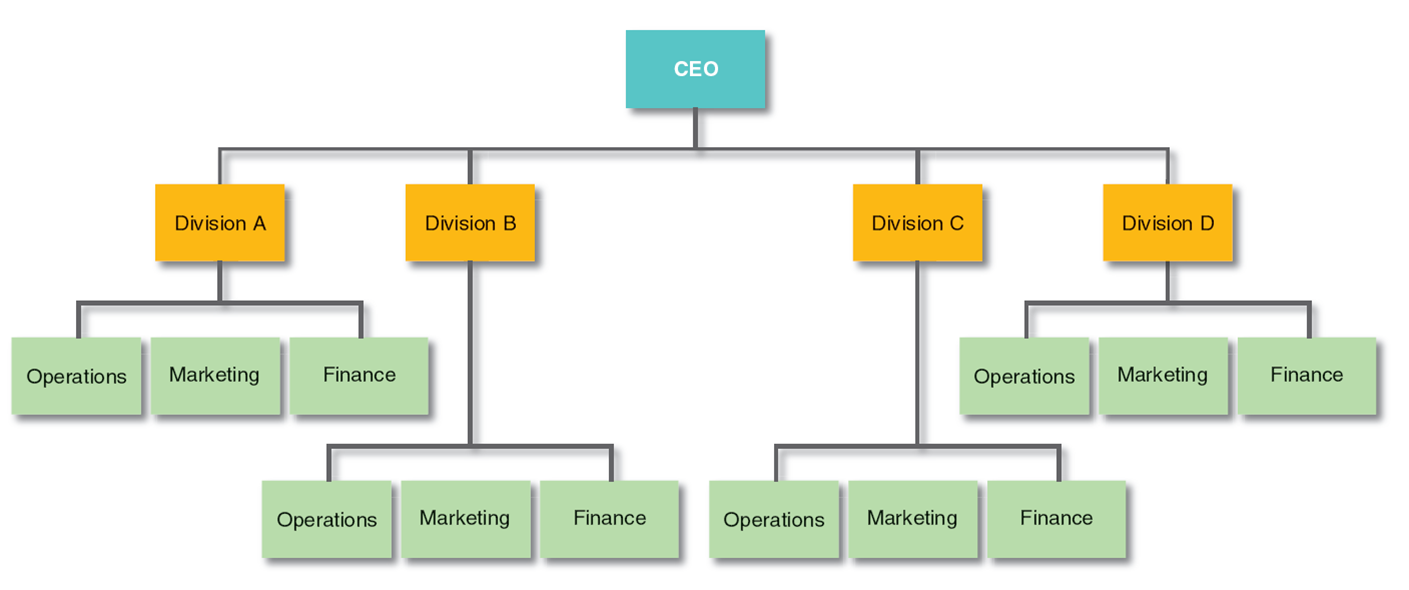 BCS Online Lectures: Organization Structure