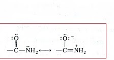 Welcome to Chem Zipper.com......: There are two -NH2 groups in ...