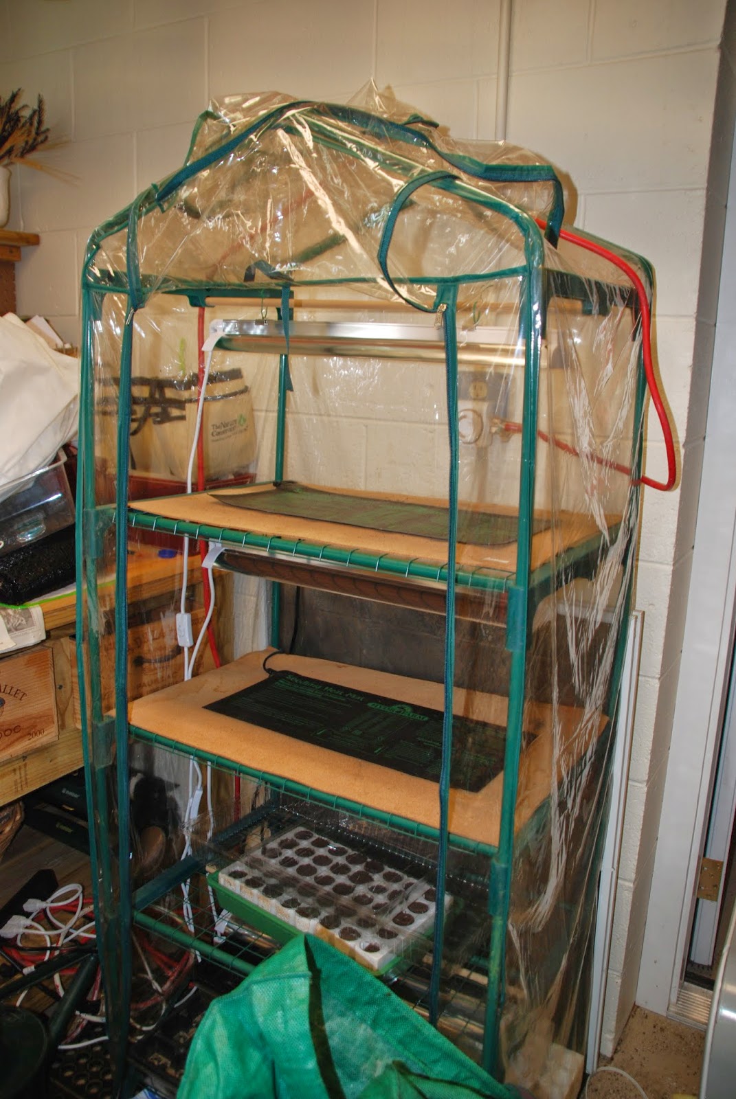 Stephanie and Lance's Blog: Science Project - Part II