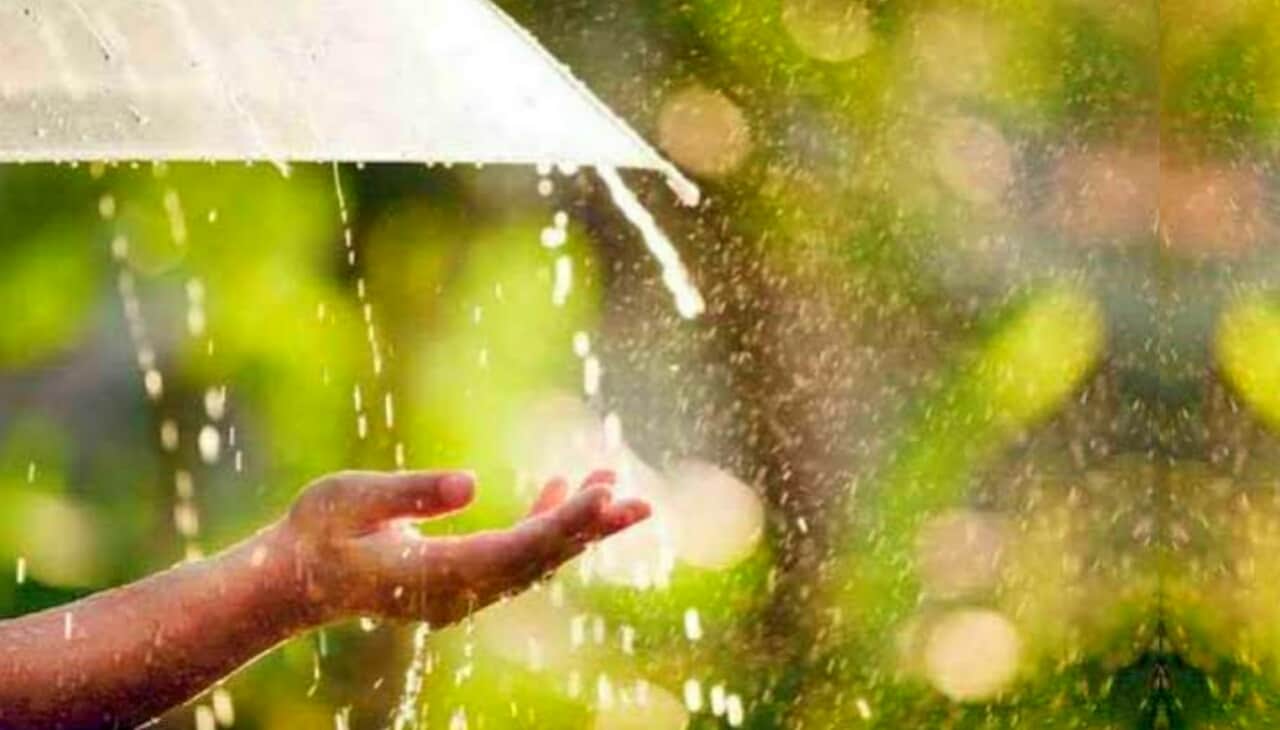 बारिश की पहली बुँदे बारिश की पहली बुँदे