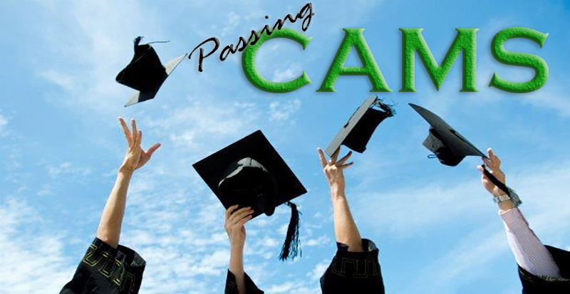 Verified IT Exam Dumps Question Answers: 2019