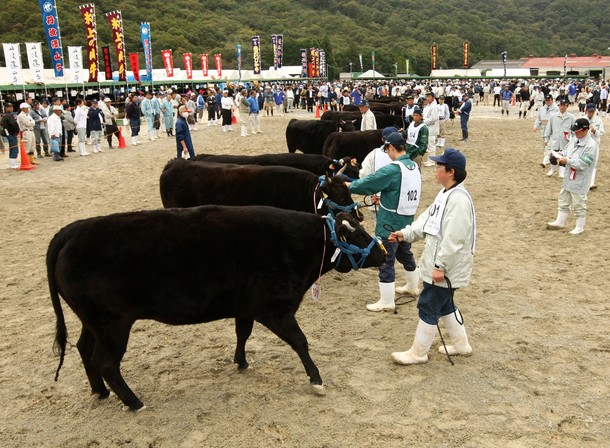 The Great Kobe Beef Lie