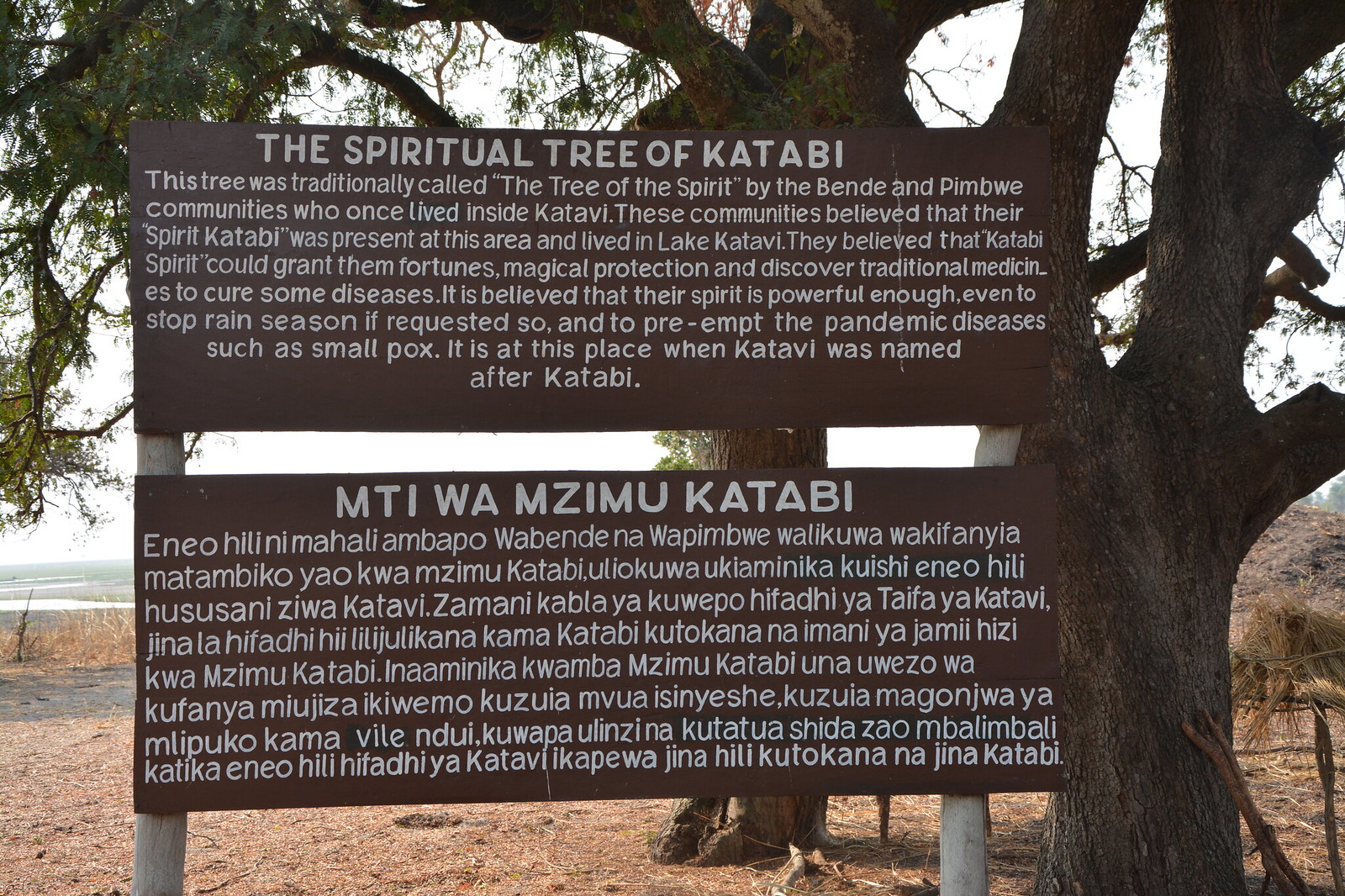 The True Wlderness; Katavi National Park