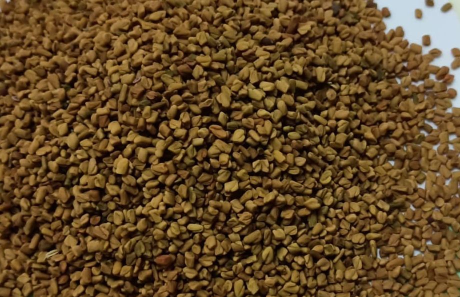 Ekor: MANFAAT KEBAIKAN KHASIAT HALBA