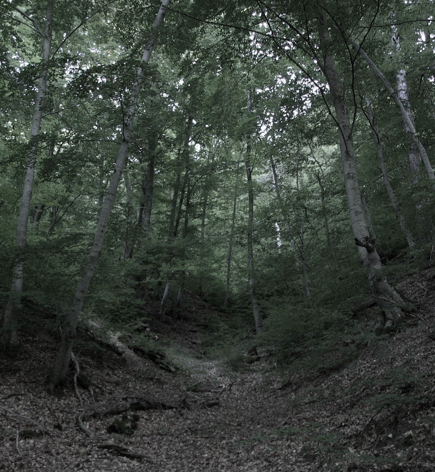 Color combinations with grey on Pinterest | Grey, Gray and Orange Front ...