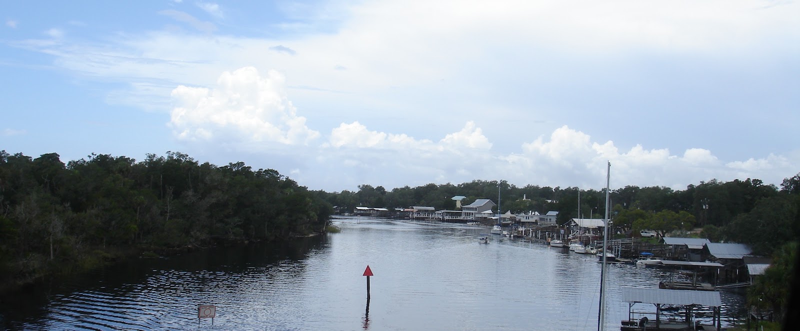 Blue Starr Gallery: Steinhatchee